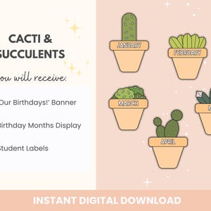 Cactus Classroom Birthday Display: Succulent Plants (digital Download ...