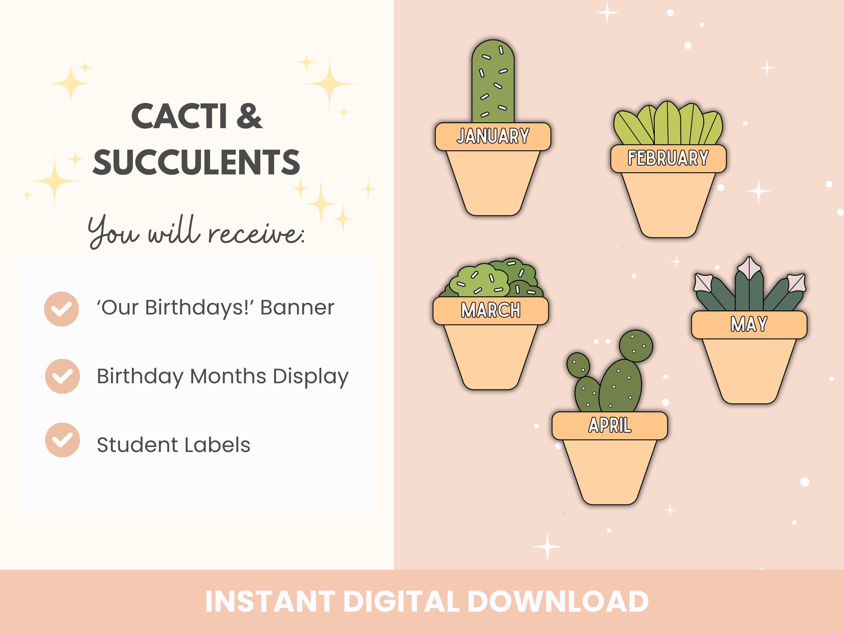 Cactus Classroom Birthday Display: Succulent Plants (digital Download ...