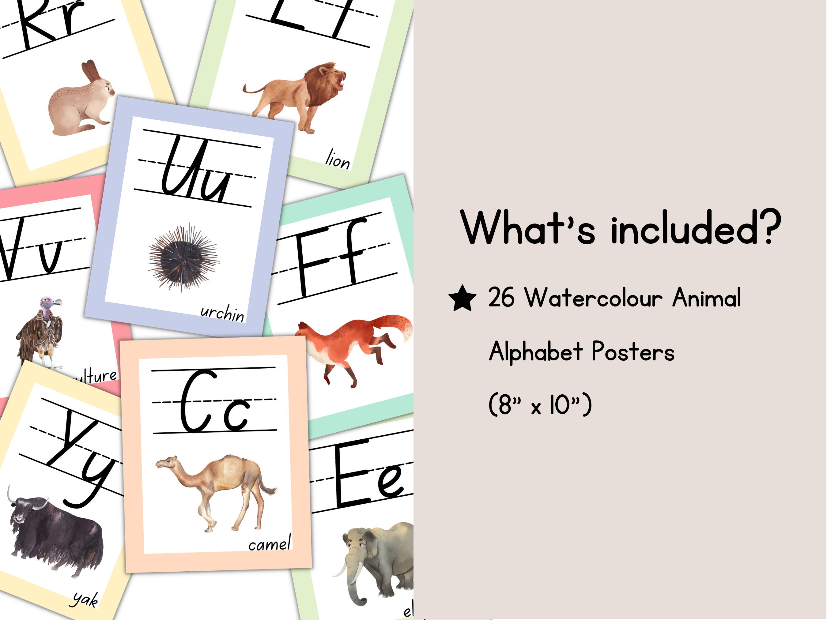 Watercolor Animal Alphabet Posters: Calm Classroom Decor (digital ...