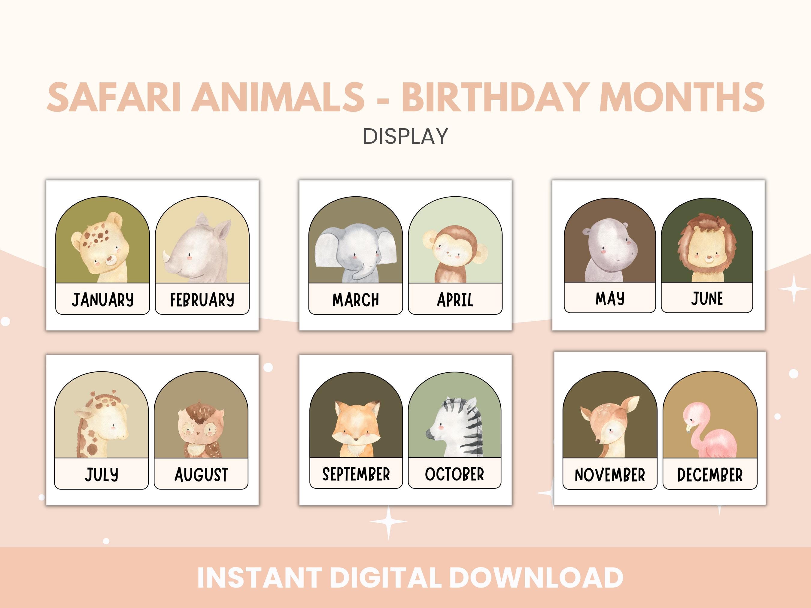 Watercolor Safari Animals Birthday Bulletin Board: Classroom Decor ...