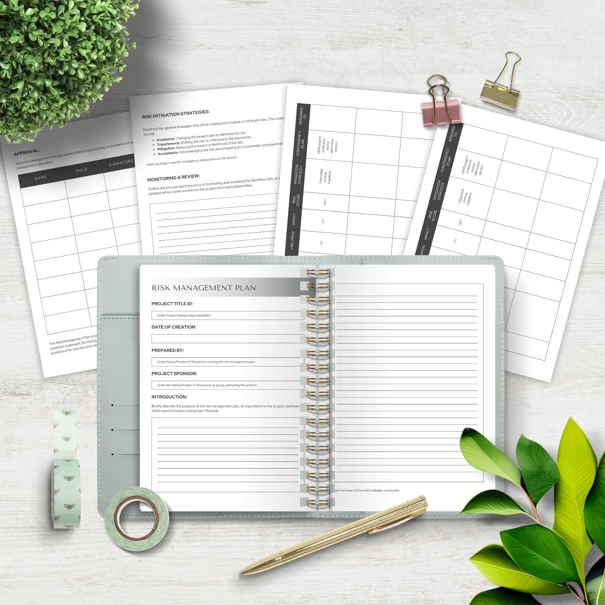 Project Management Risk Assessment Template, Risk Matrix & Log, Risk ...