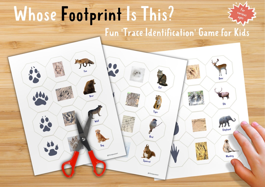 Whose Footprint is This? Footprint Identification Game Bundle for Kids ...