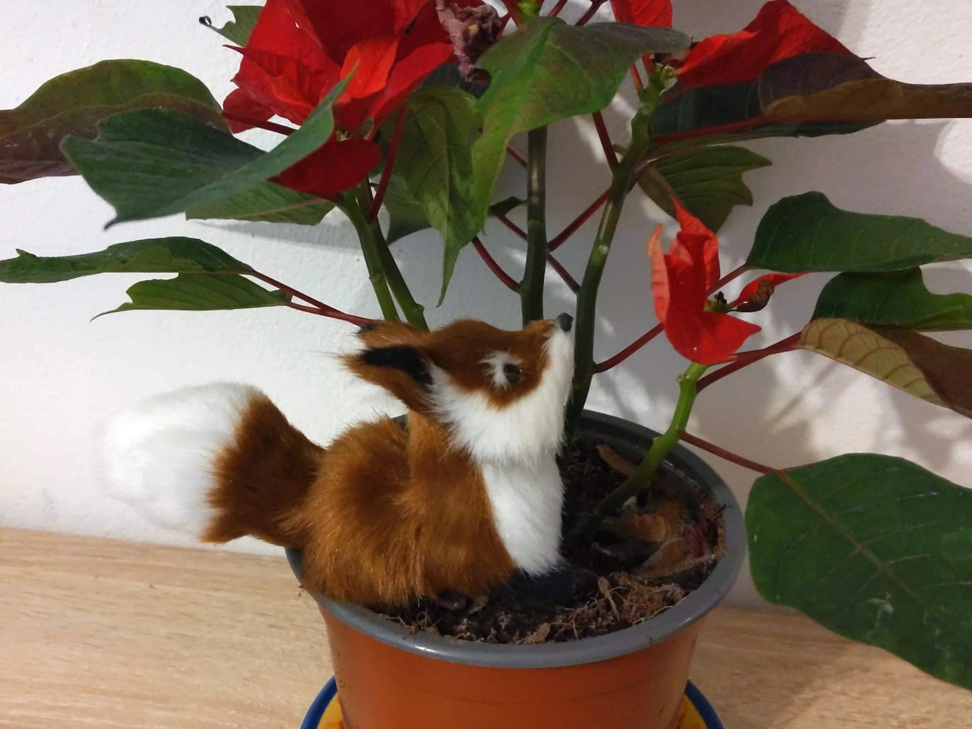 Cute Little Fox Soft Furry Tiny Fox Plush Fox Mini Fox 11 - Etsy