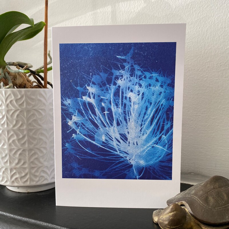 Cyanotype Cards - Etsy UK