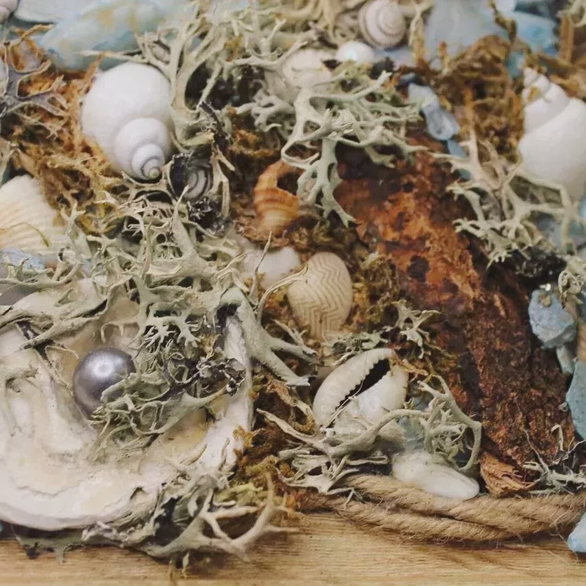 Wall Panels Ocean Wall Art Seashells Panels Natural - Etsy