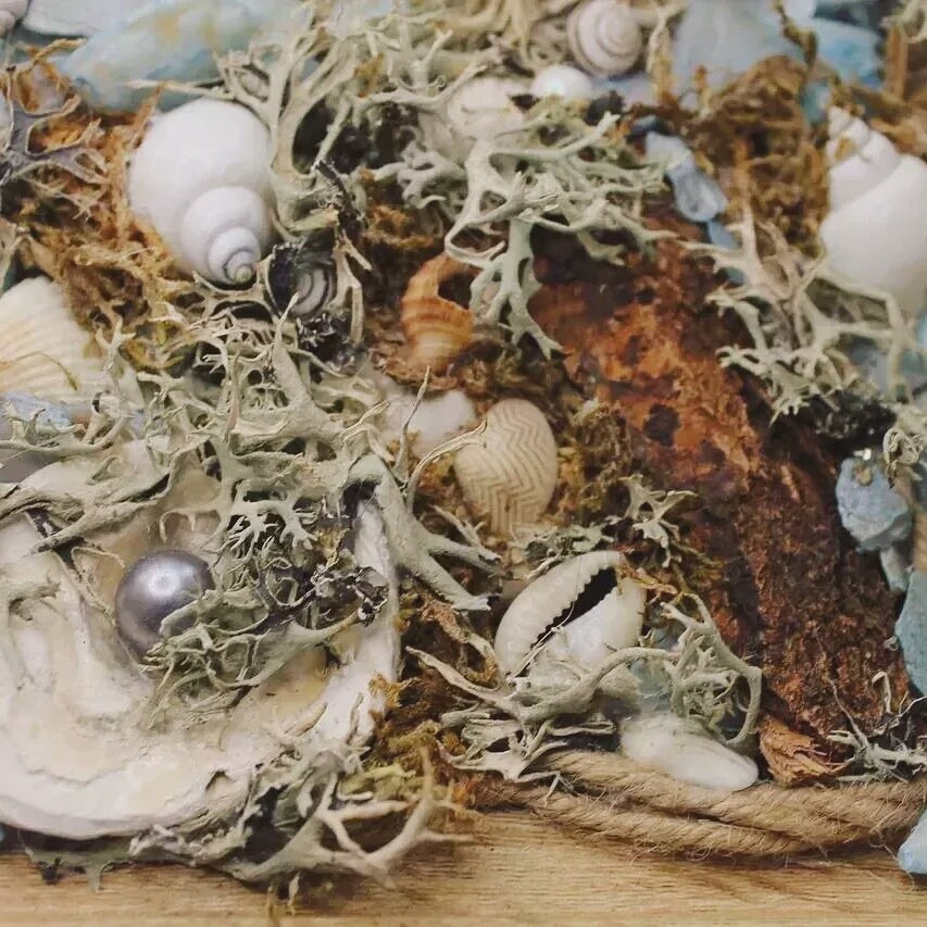 Wall Panels Ocean Wall Art Seashells Panels Natural - Etsy