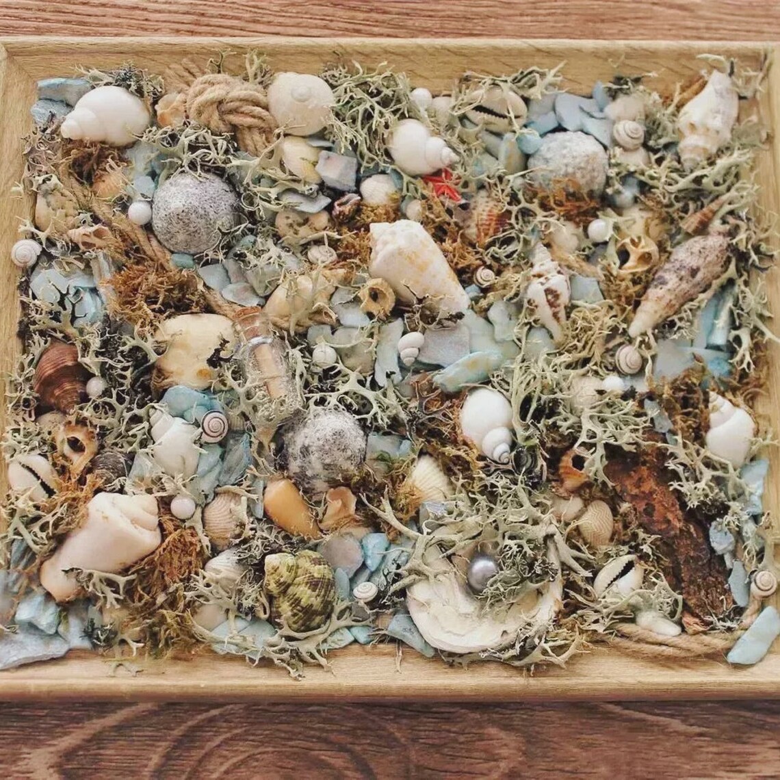 Wall Panels Ocean Wall Art Seashells Panels Natural - Etsy