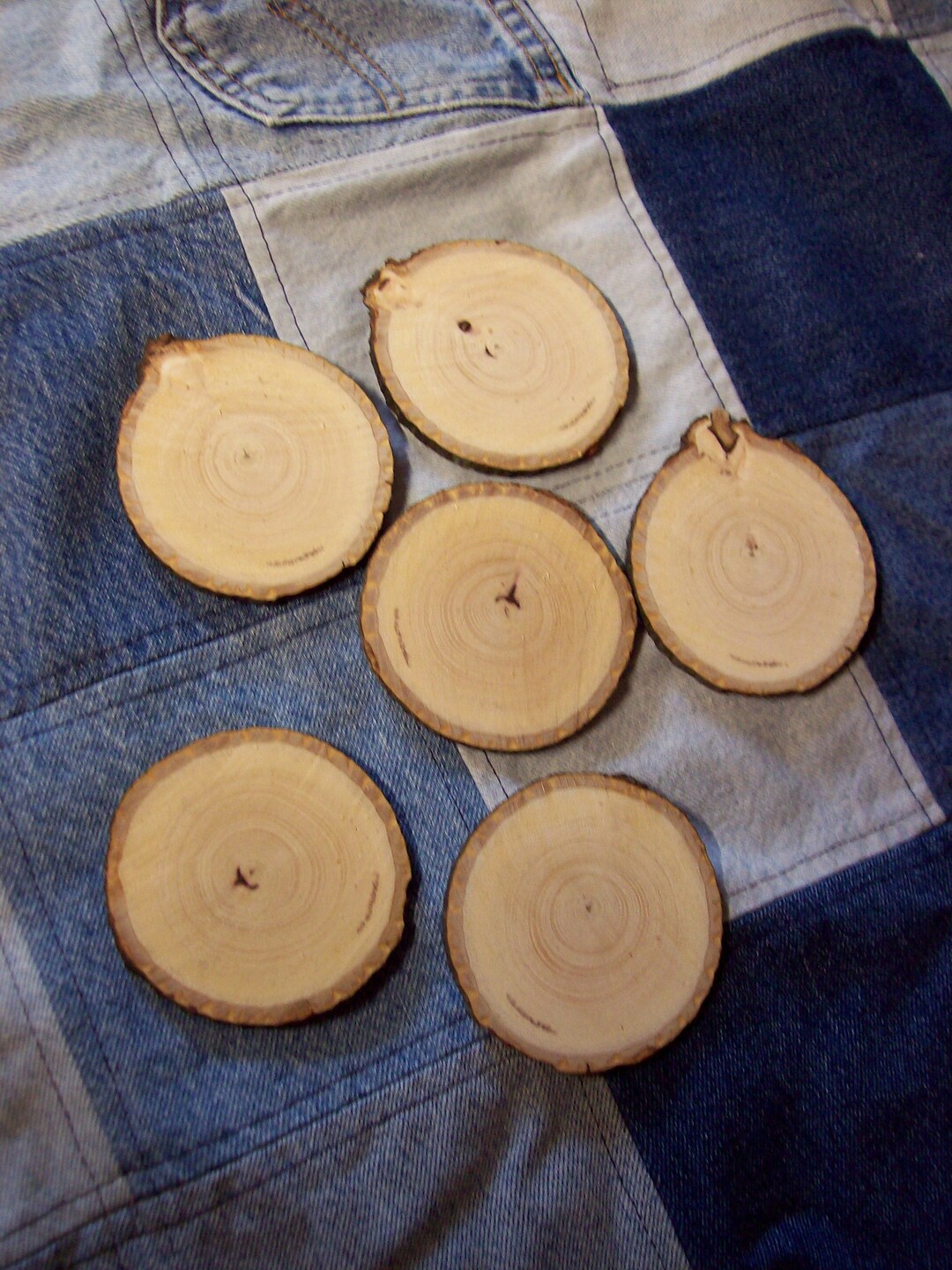 Shag bark Hickory slices wood coasters art craft raw tree wood circle ...