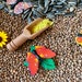 Sunflower Sensory Bin | Summer Sensory Activity for Toddlers ...