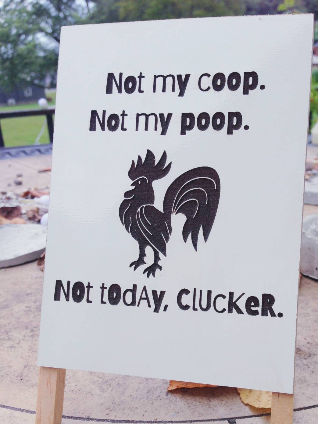 DIGITAL Not My Coop Not My Poop Not Today Clucker - Etsy