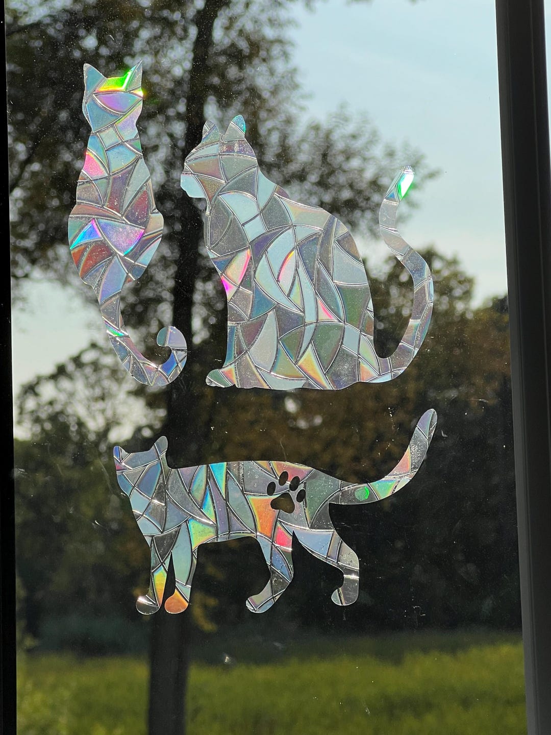 CAT SUNCATCHERS for Windows, Kitten Sun Catcher Decal, Kitty Rainbow ...