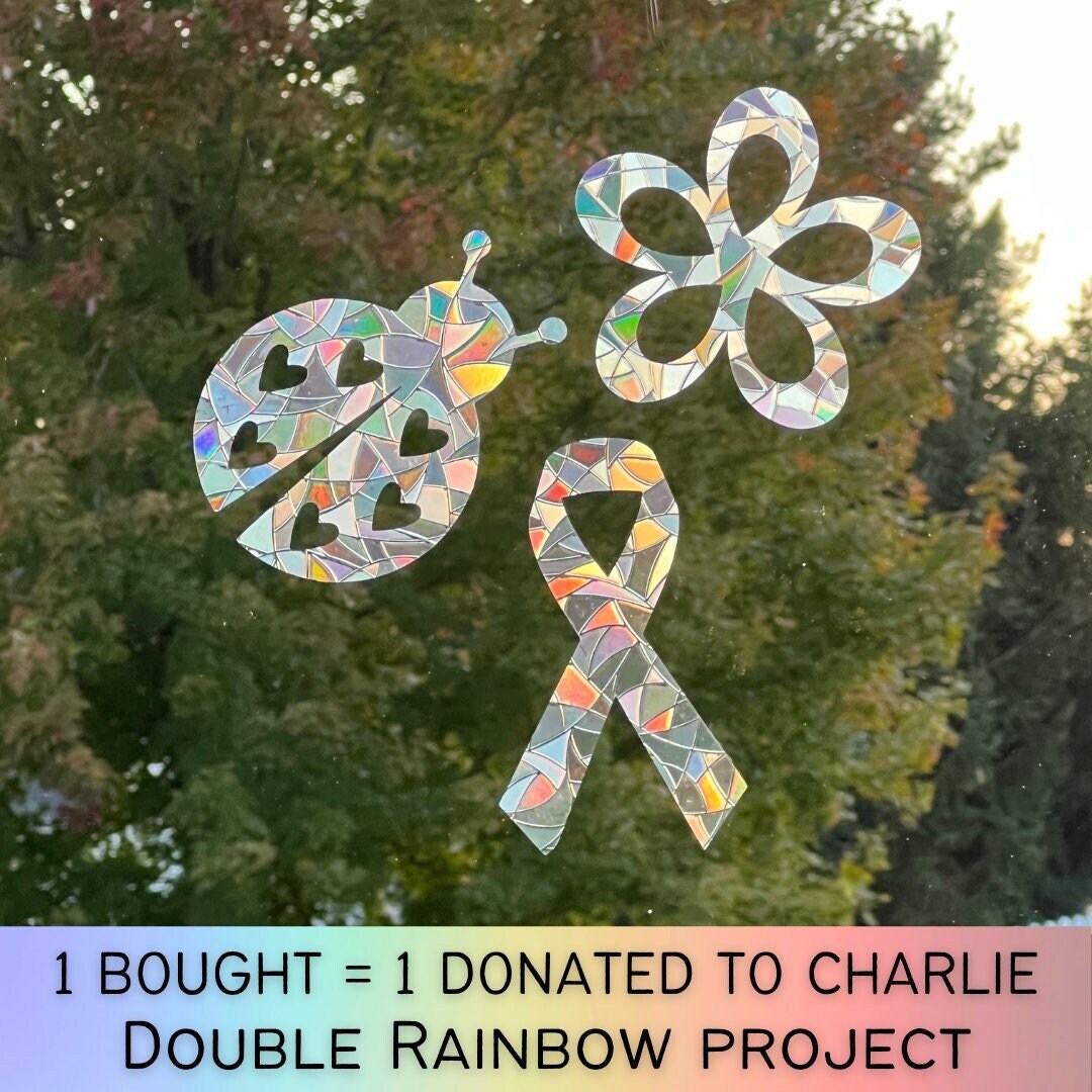 CHEERING FOR CHARLIE Rainbow Set of 3 Window Clings // Prism - Etsy