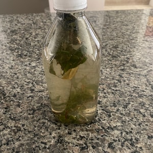 Spiritual Cleansing Bath Omiero Orula (santeria) - Etsy