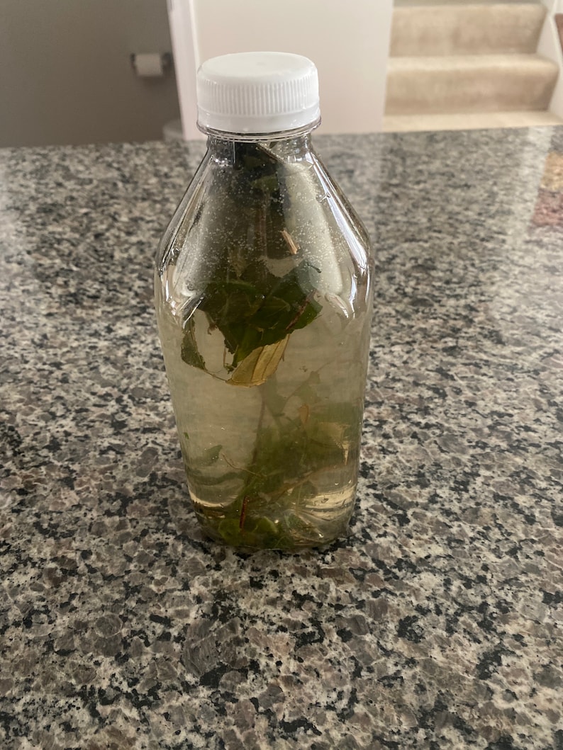 Spiritual Cleansing Bath Omiero Orula (santeria) - Etsy
