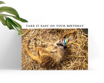 Meerkat Birthday Card - Etsy