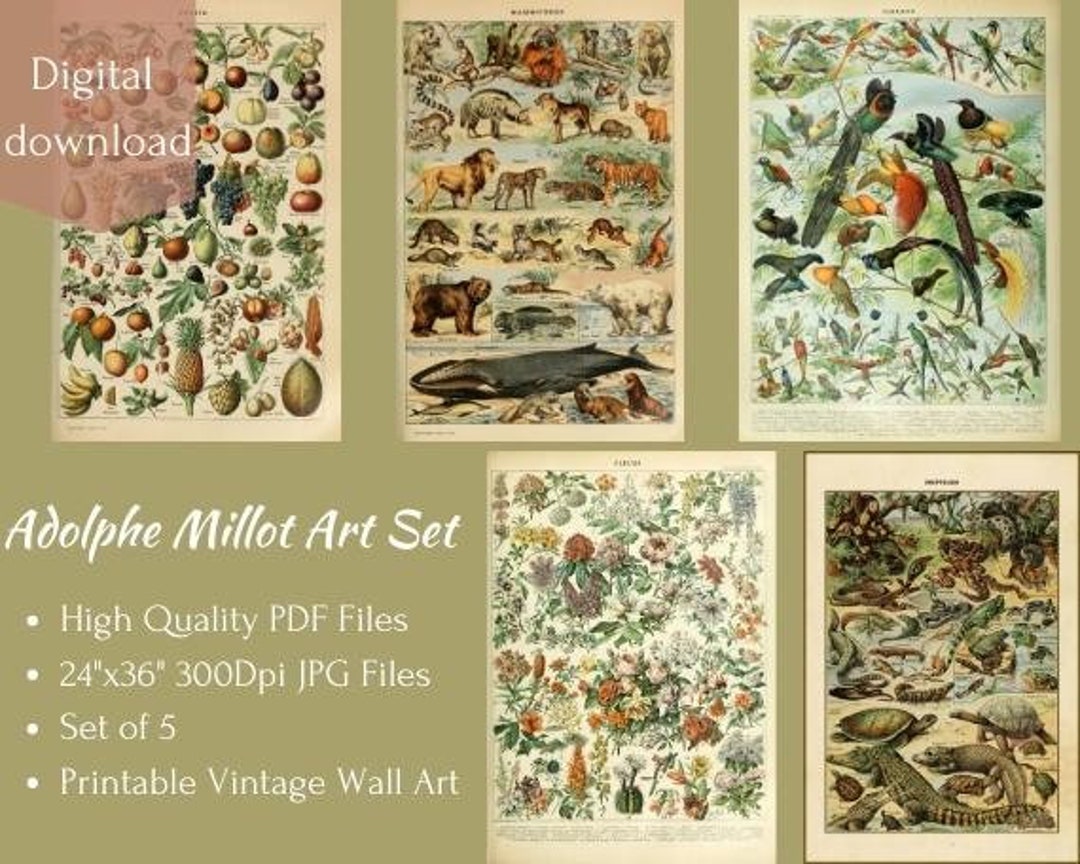 Vintage Millot Artworks Vintage Poster Adolphe Millot Art Set of 5 ...