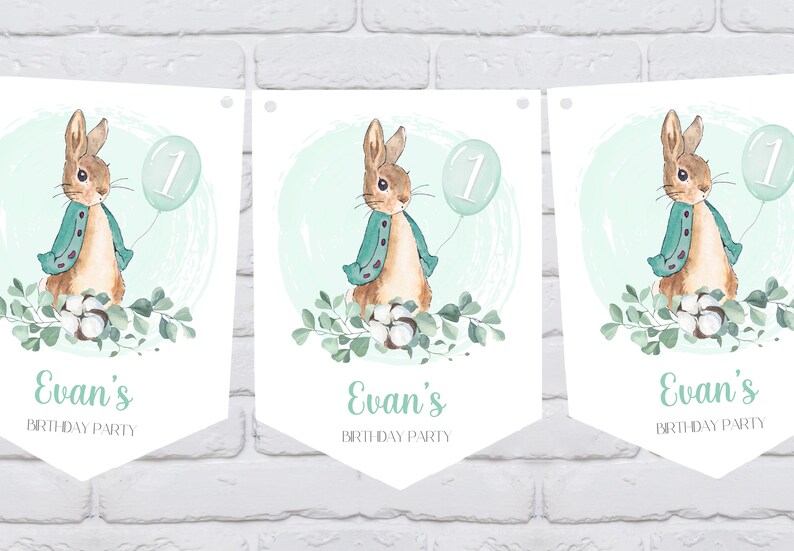 Peter Rabbit Happy Birthday Bunting Children's Party - Etsy