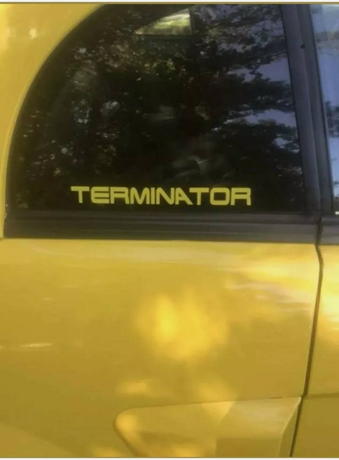 03-04 Terminator Cobra Mustang Window Decals Set X2 - Etsy