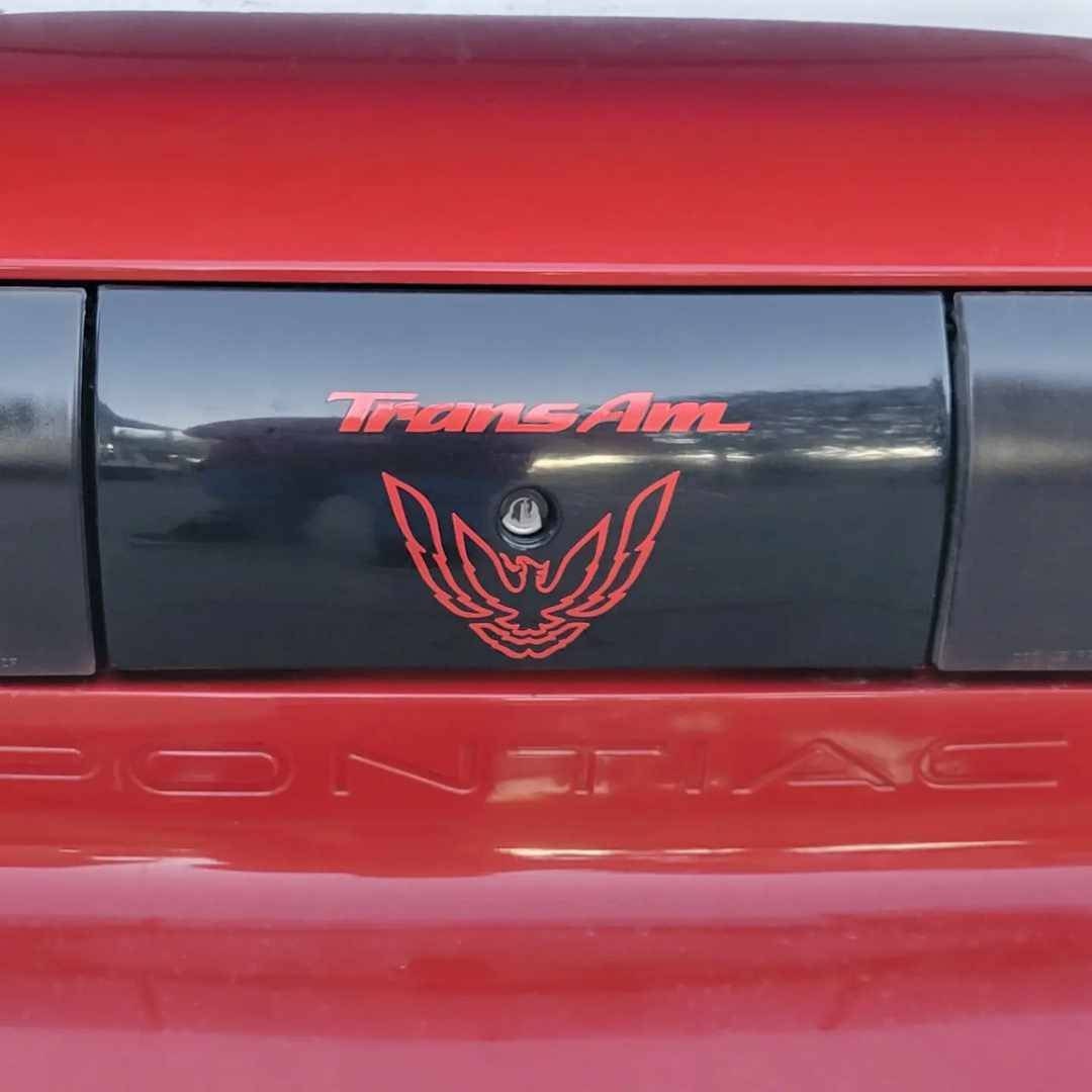 Vinyl Rear Decal Overlay Decal Stickers 1993-2002 Trans Am - Etsy
