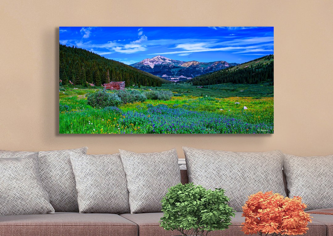 Mayflower Gulch Wildflower Print: Rocky Mountain Wall Art - Etsy