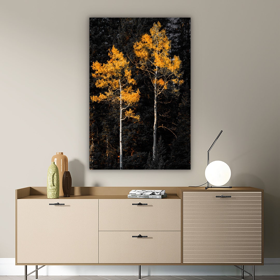 Aspen Tree Picture, Aspen Tree Vertical Canvas, Fall Decor, Aspen Tree ...