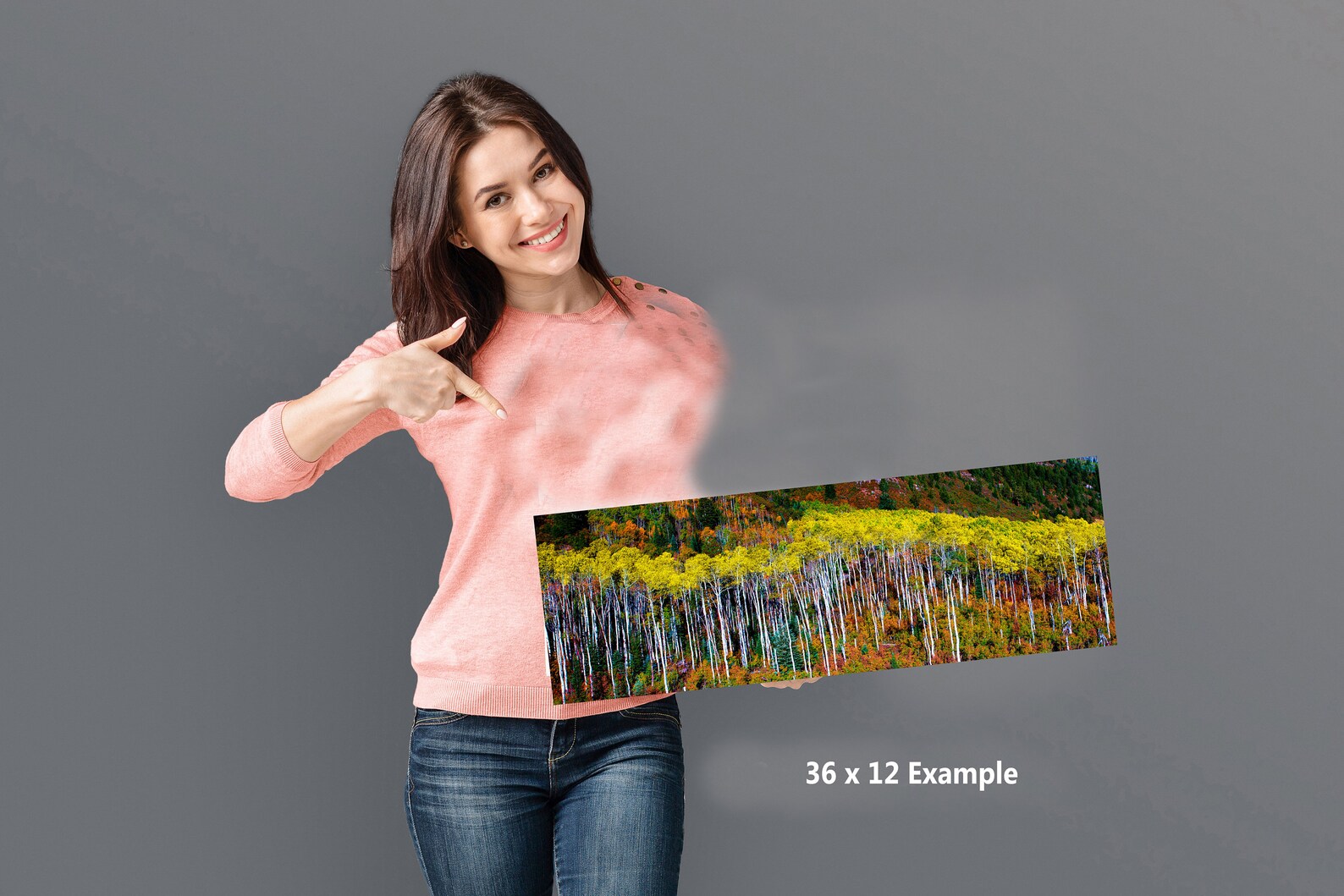 Aspen Trees Panoramic Aspen Tree Wall Art Birth Tree Wall - Etsy