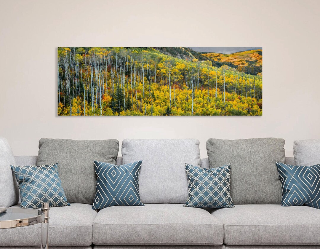 Aspen Tree Panoramic Landscape, Autumn Aspens, Colorado Fall Colors ...