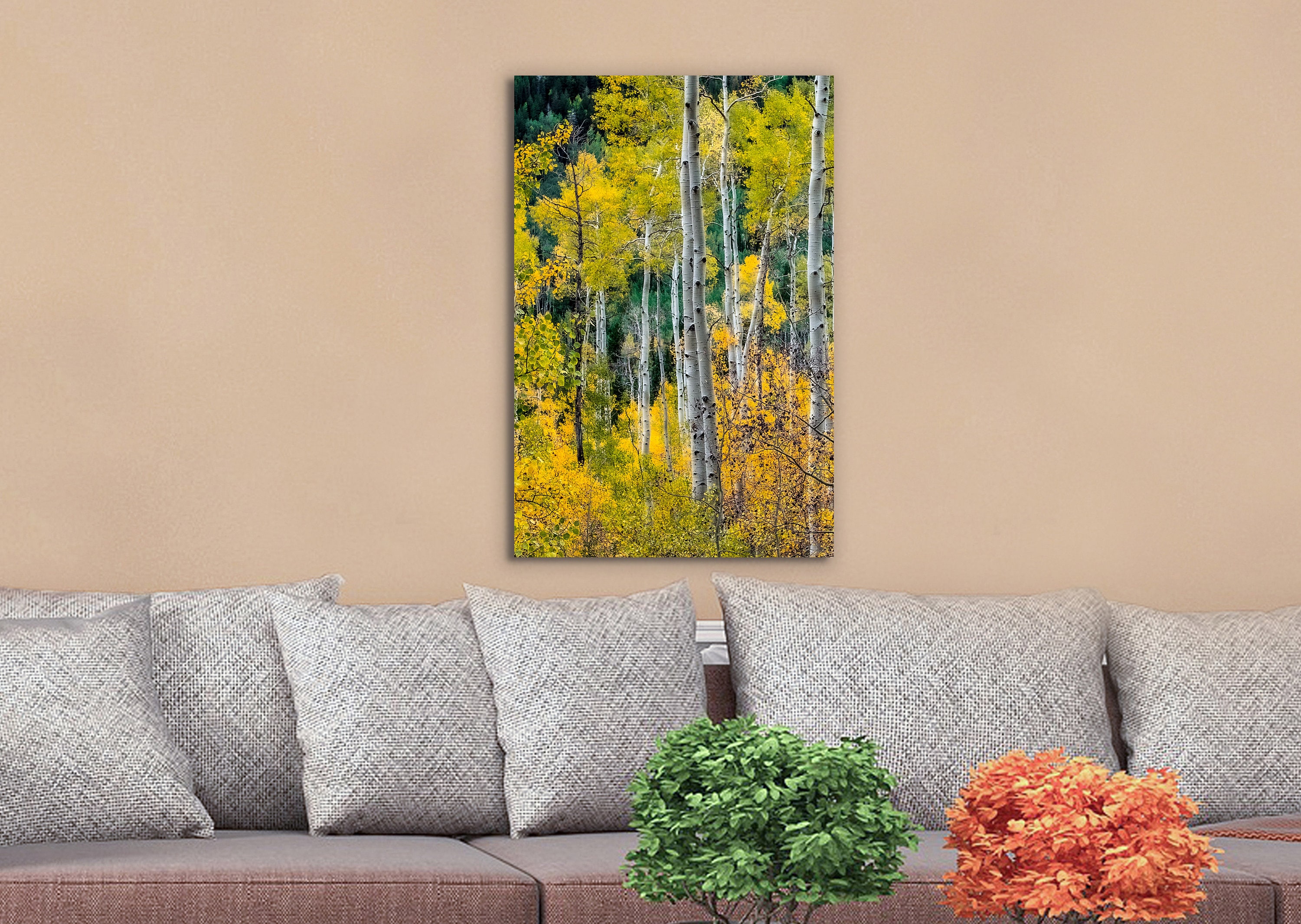 Aspen Tree Wall Art, Aspen Trees in Autumn, Colorado, Autumn Decor ...