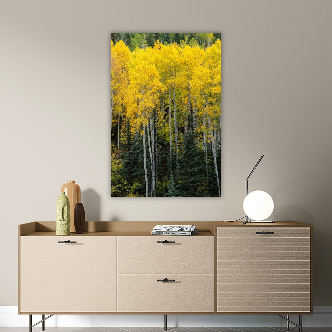 Aspen Tree Vertical Picture, Aspen Tree Canvas, Fall Decor, Aspen Tree ...