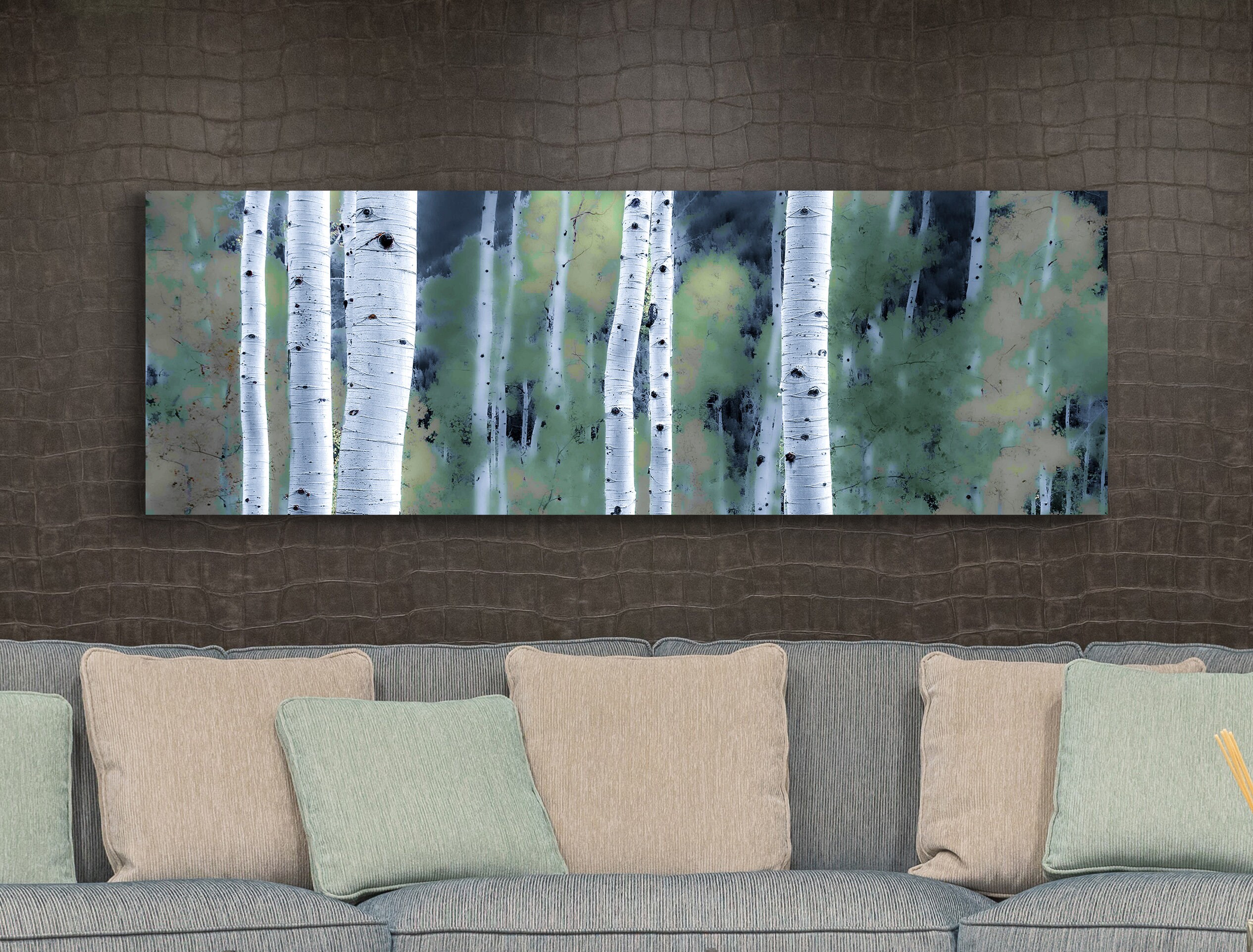 Aspen Tree Panoramic Landscape, Aspen Tree Wall Art, Birch Tree Picture ...