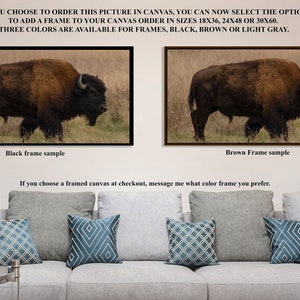 Large Bison Print, Buffalo Picture, Bison Wall Art, Wildlife ...