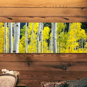 Aspen Tree Wall Art, Aspen Trees, Forest Wall Art, Birth Tree Wall Art ...