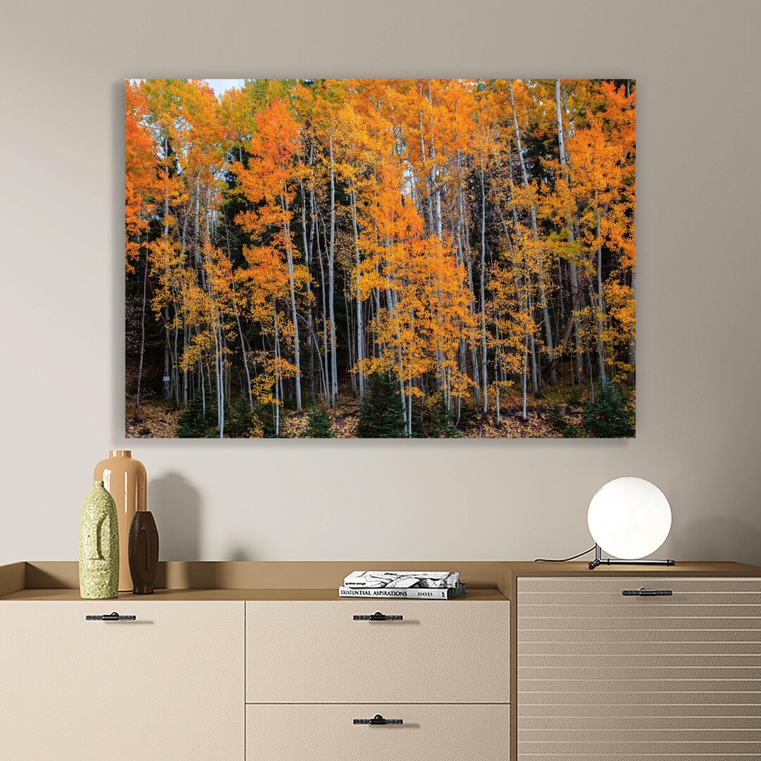 Golden Aspen Tree Art, Aspen Tree Wall Art, Birch Tree Canvas, Fall ...
