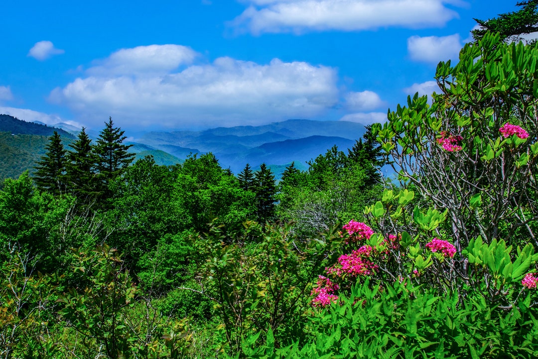 Smoky Mountain Springtime Print, Blue Ridge Mountains Picture, Summer ...