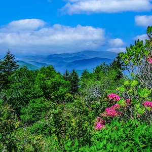 Smoky Mountain Springtime Print, Blue Ridge Mountains Picture, Summer ...
