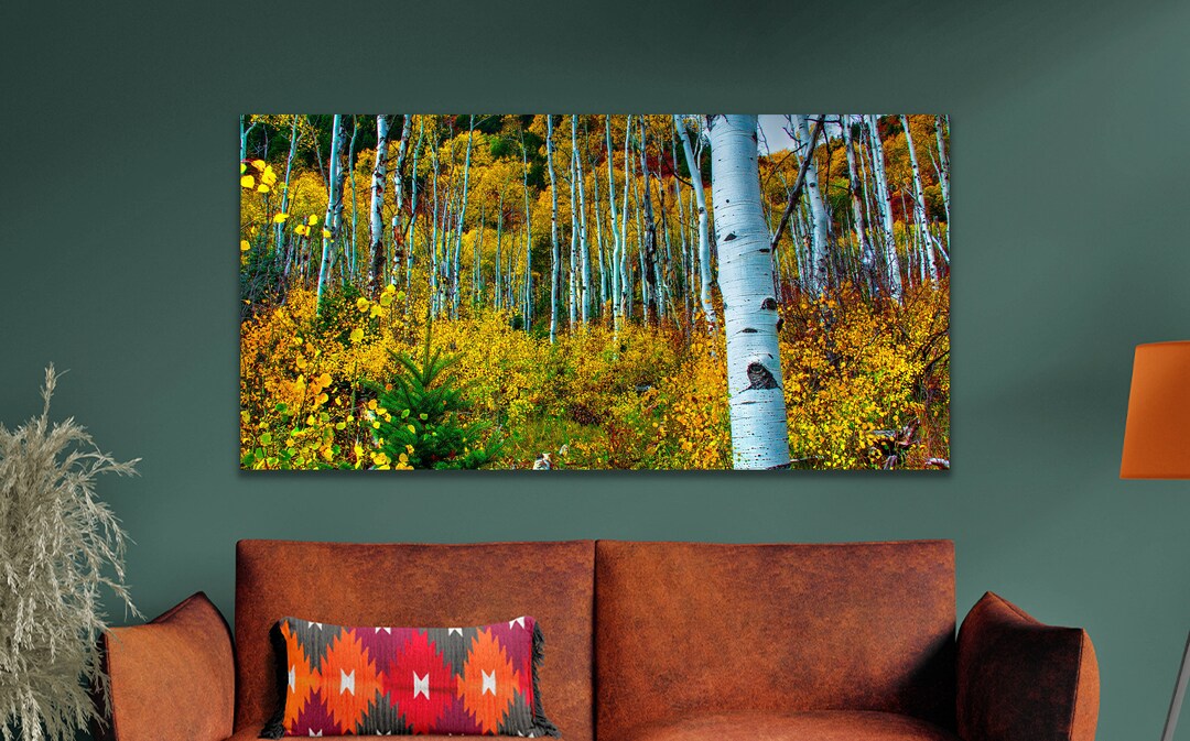 Aspen Trees, Fall Aspens, Autumn Colors, Colorado Canvas, Colorado ...