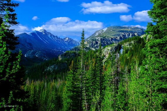 Colorado Summer Landscape