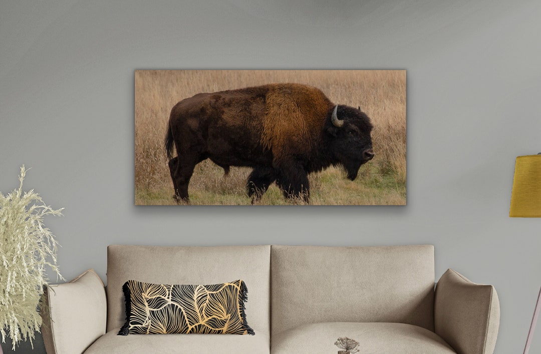 Large Bison Print, Buffalo Picture, Bison Wall Art, Wildlife ...