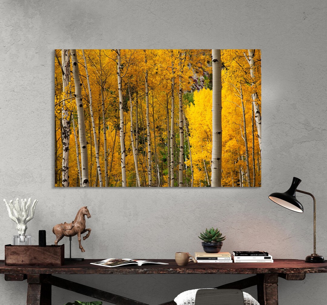 Golden Aspen Tree Forest Print, Colorado Aspens Picture, Birch Tree ...