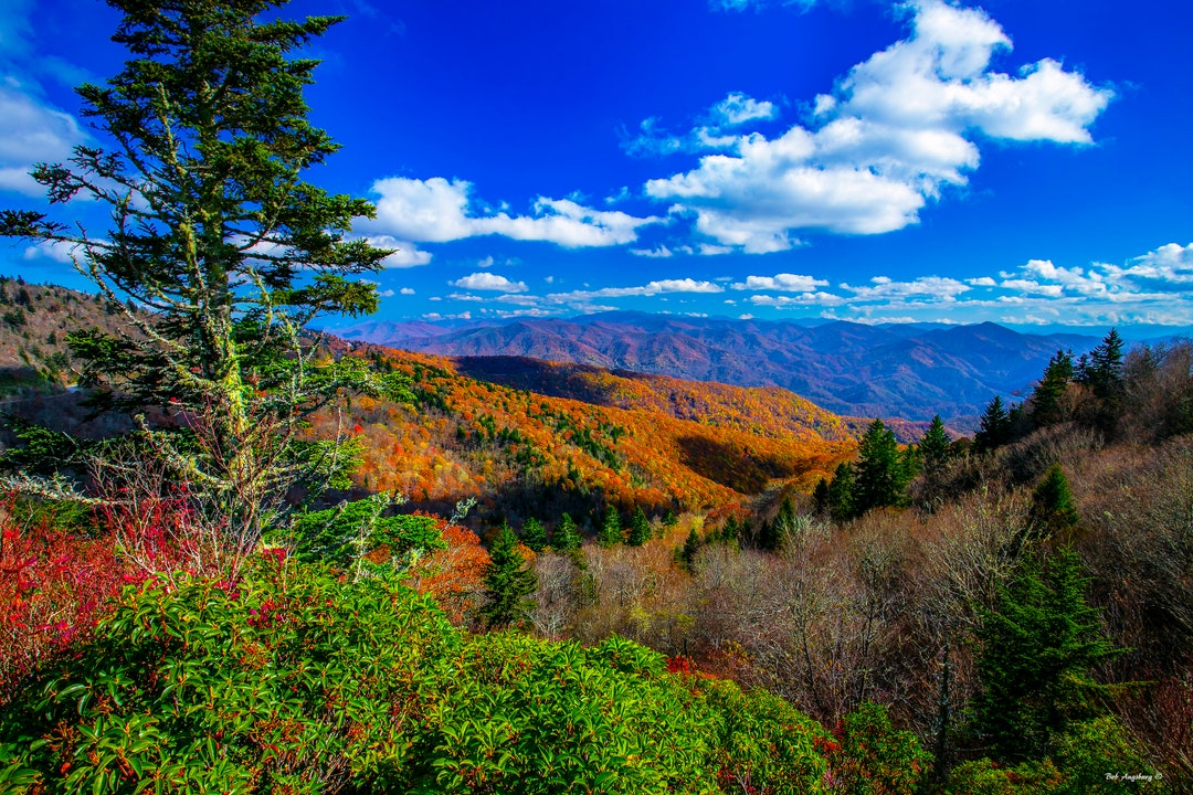 Smoky Mountain Art, Blue Ridge Canvas, Asheville Art, North Carolina ...
