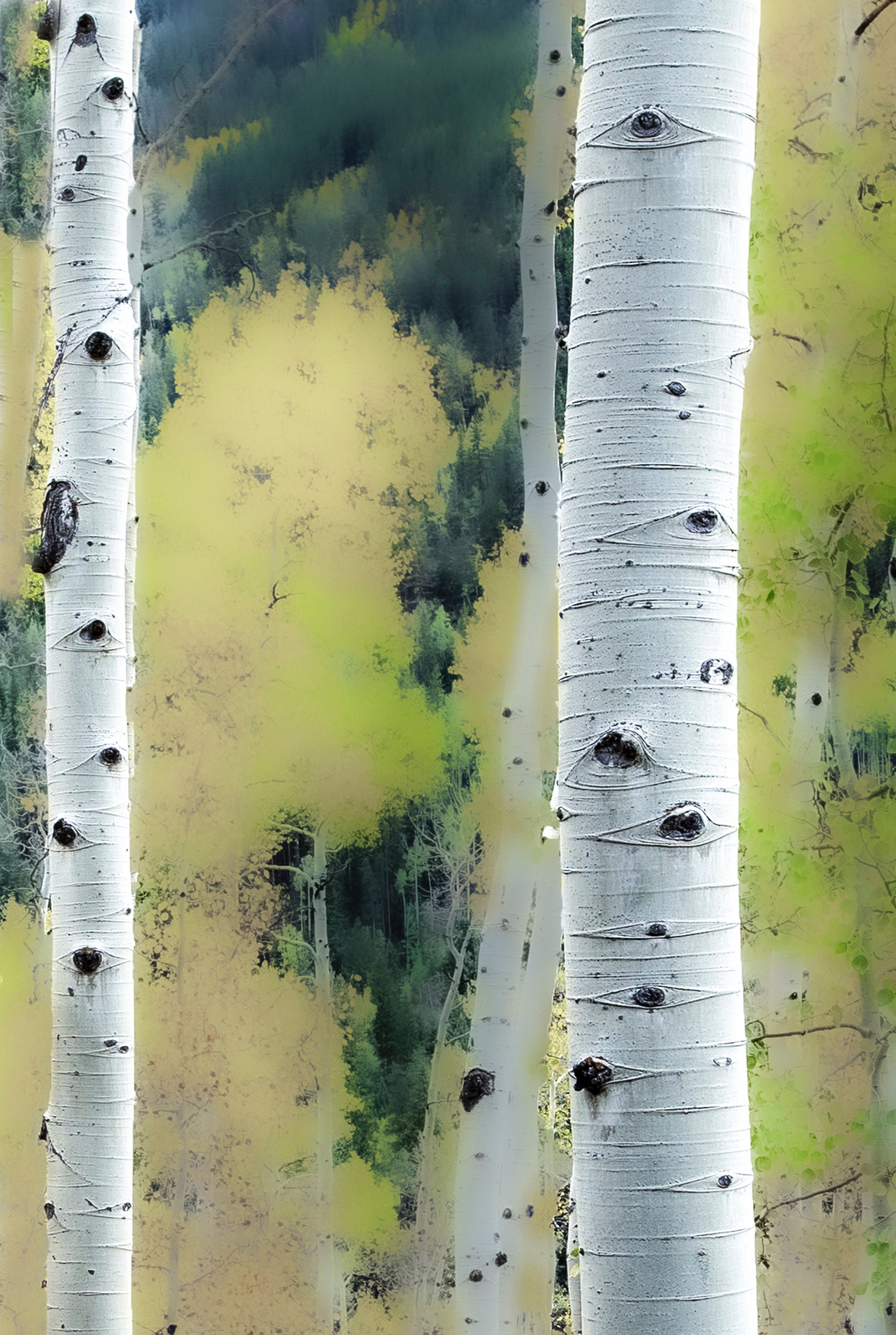 Aspen Tree Wall Art, Aspen Tree Painting, Vertical Aspen Painting ...