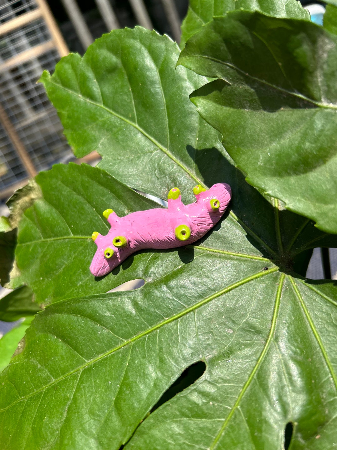 Pink and Green Nudibranch sea Slug Magnet - Etsy