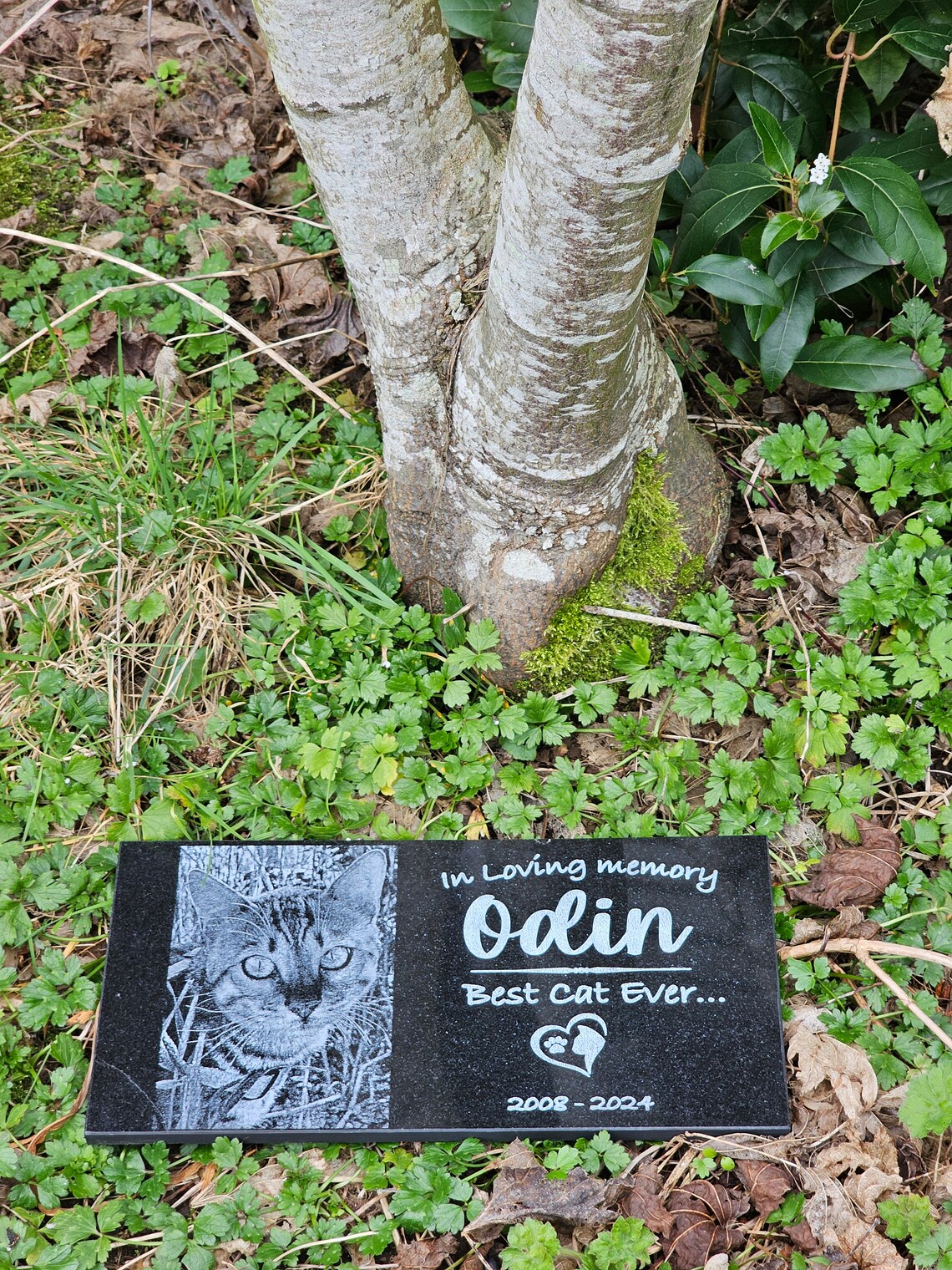 Photo Engraved Granite Pet Memorial Stone - Etsy