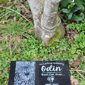 Photo Engraved Granite Pet Memorial Stone - Etsy