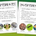 Vertebrate and Invertebrate Posters Animal Classification Anchor Charts ...