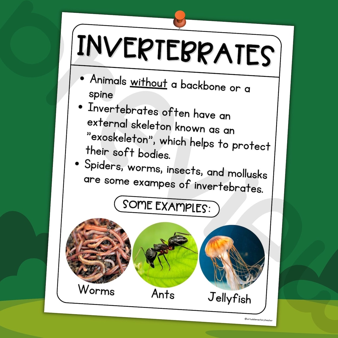 Vertebrate and Invertebrate Posters Animal Classification Anchor Charts ...