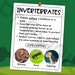 Vertebrate and Invertebrate Posters Animal Classification Anchor Charts ...