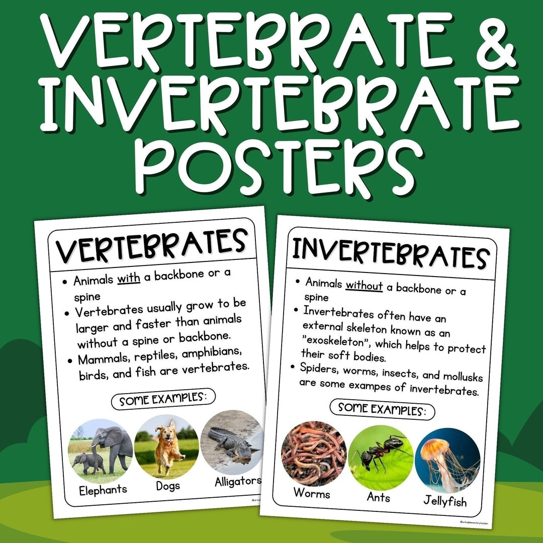 Vertebrate and Invertebrate Posters - Animal Classification Science ...