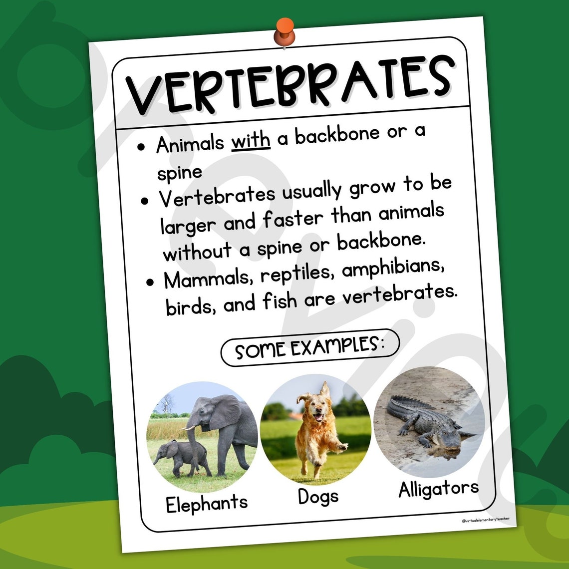 Vertebrate and Invertebrate Posters Animal Classification Anchor Charts ...