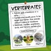 Vertebrate and Invertebrate Posters Animal Classification Anchor Charts ...